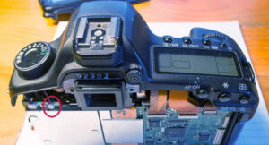 Apa Itu Shuttercount Dalam Kamera dan Mengecek Jumlahnya - Matamu