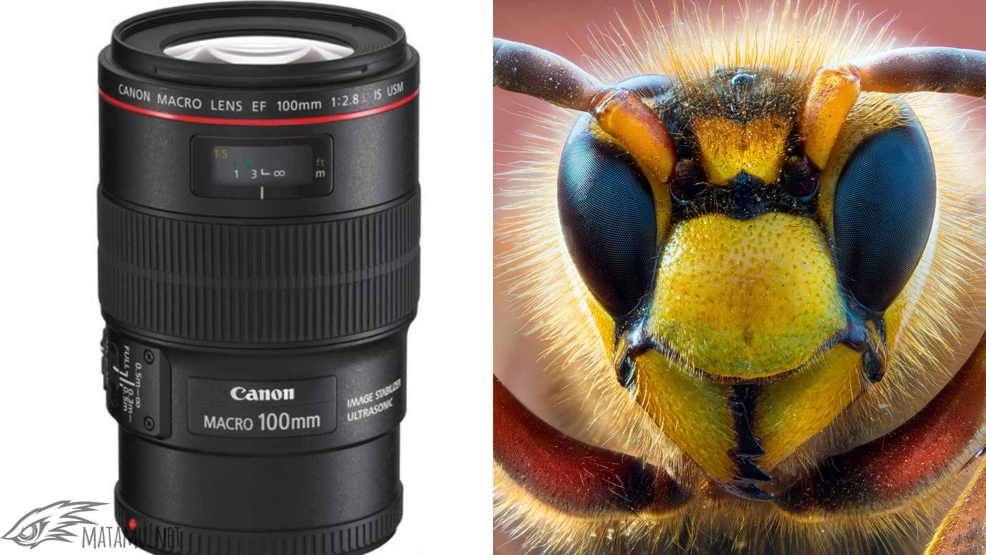 5 Jenis Lensa Kamera yang Fotografer Pemula Perlu Ketahui - Matamu