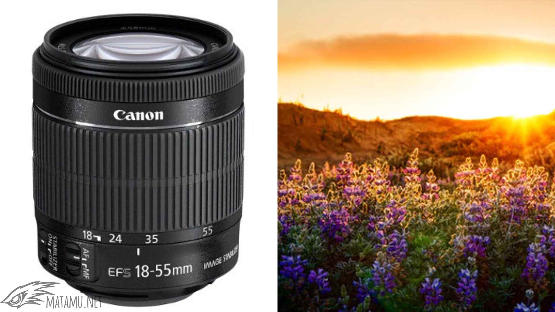 5 Jenis Lensa Kamera yang Fotografer Pemula Perlu Ketahui - Matamu