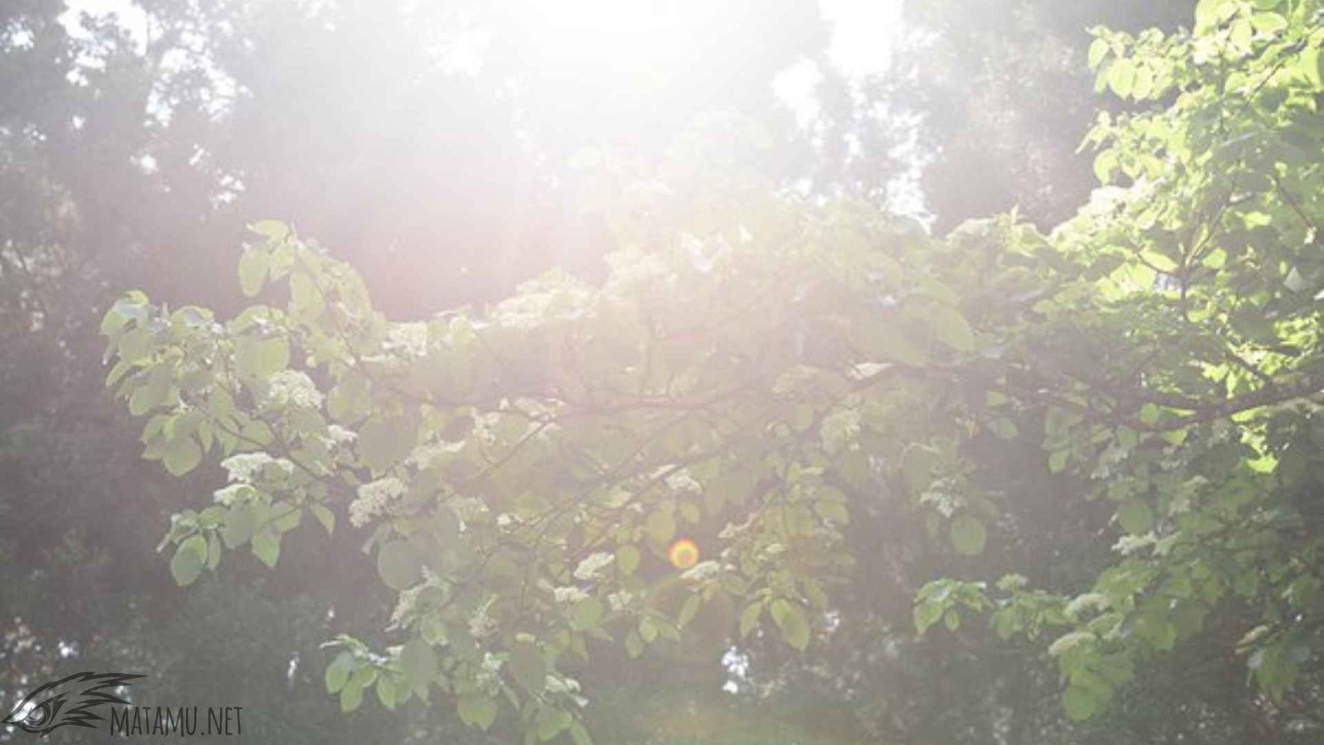 Tips menghasilkan foto keren menggunakan lensa wide angle - Matamu